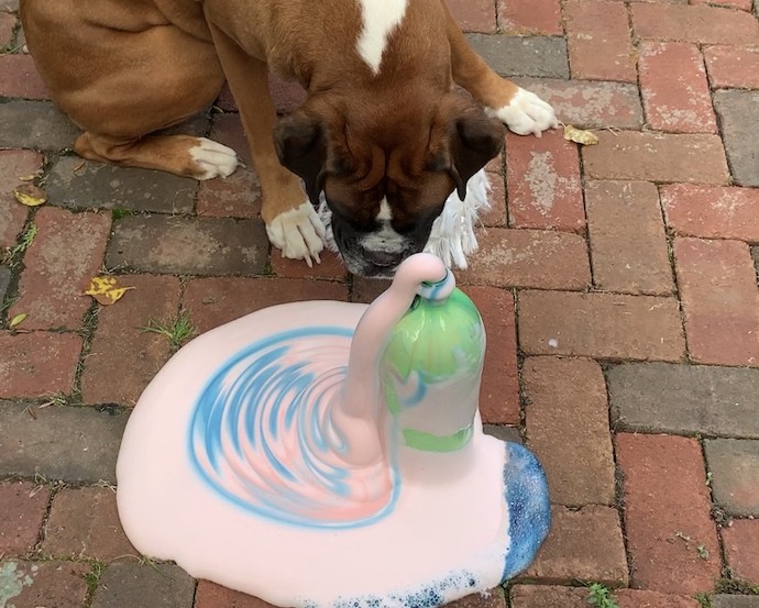 Messy Science Experiments - Susan Berk Koch